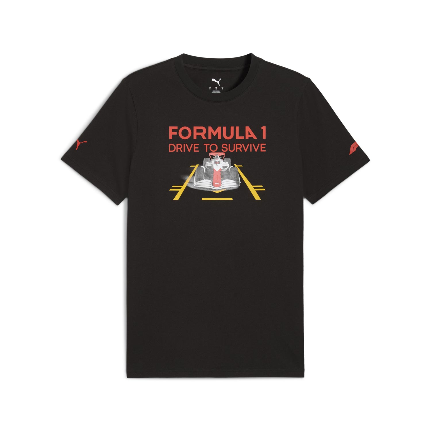 2025 Formula 1 Men's DTS Graphic T-shirt Black from Formula 1, product ...