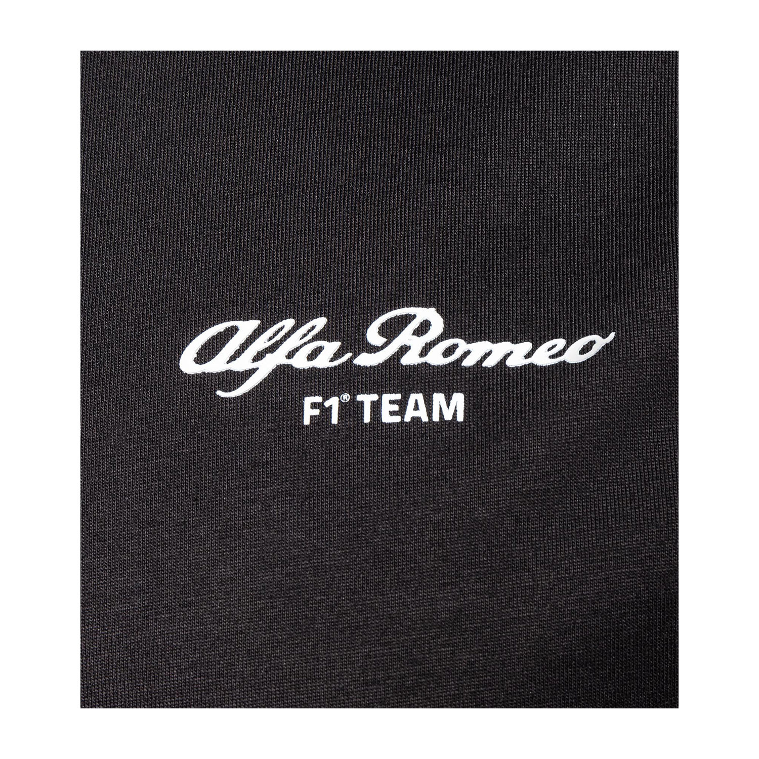 Alfa Romeo Italy F1 Mens Miami GP T-shirt | Clothing \ T-shirts Shop by ...
