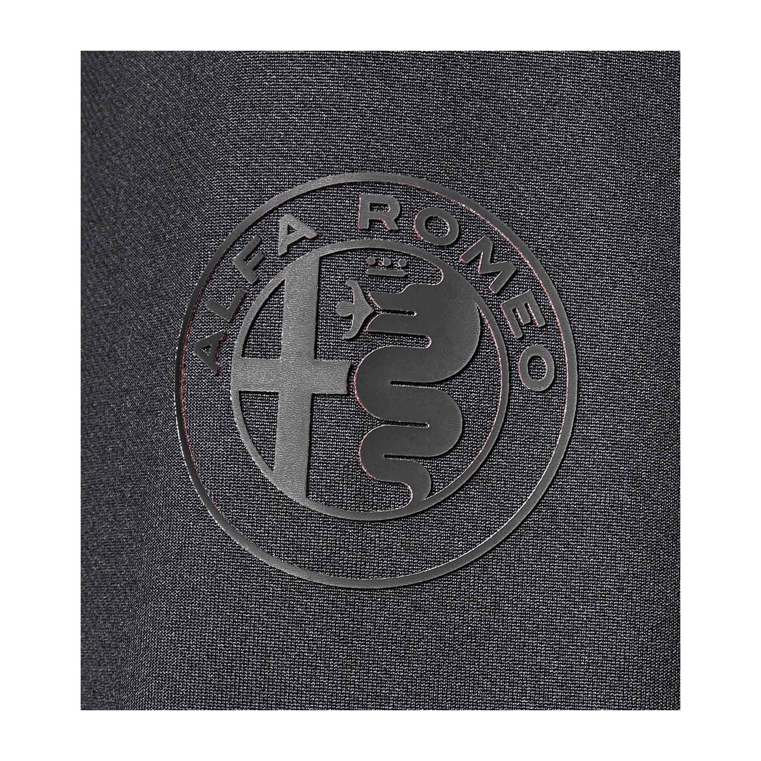 Alfa Romeo Racing Italy Mens Apex Hoodie | Clothing \ Sweatshirts Shop ...